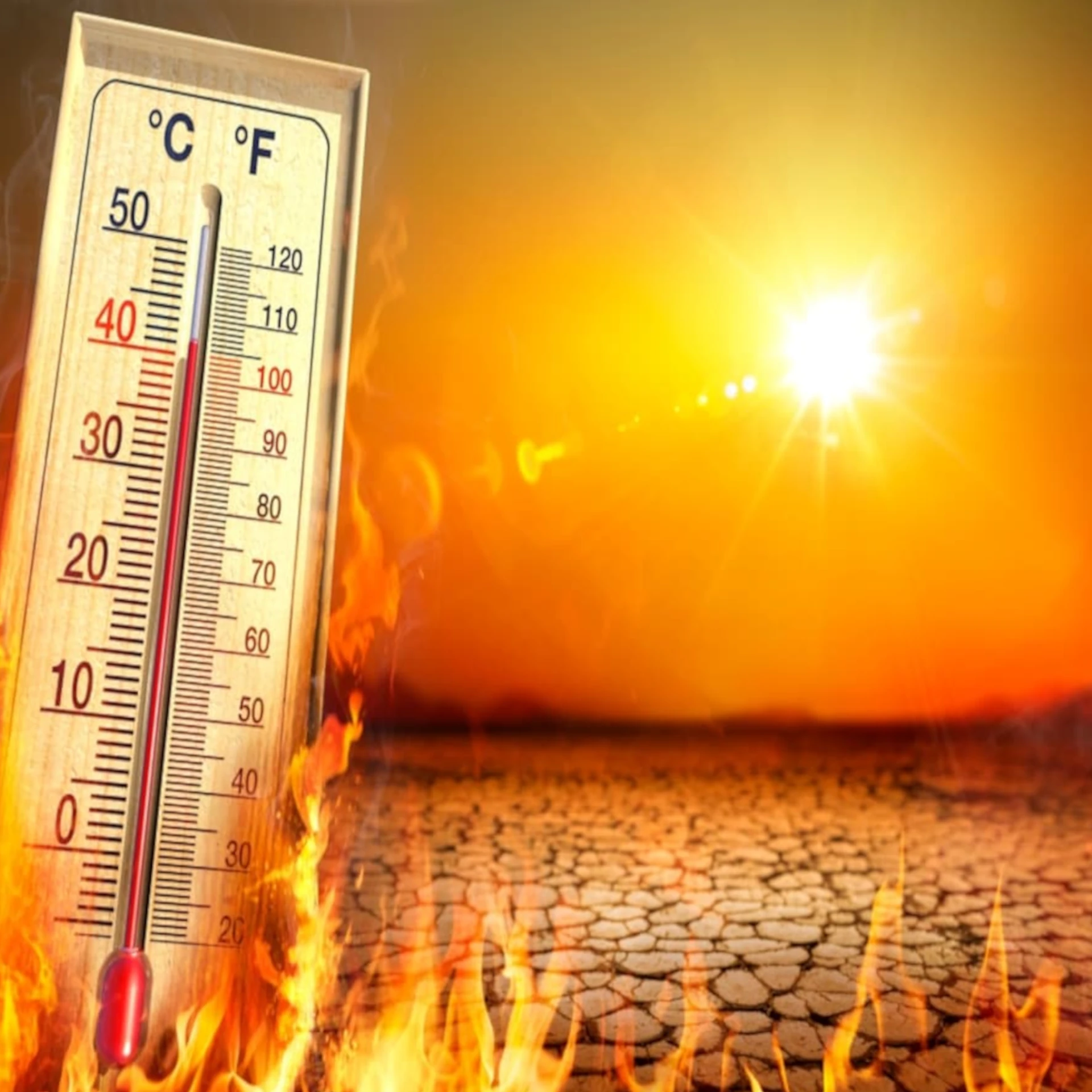 Extreme Heatwave in India (2026): State-wise Impact, Causes & Climate ...